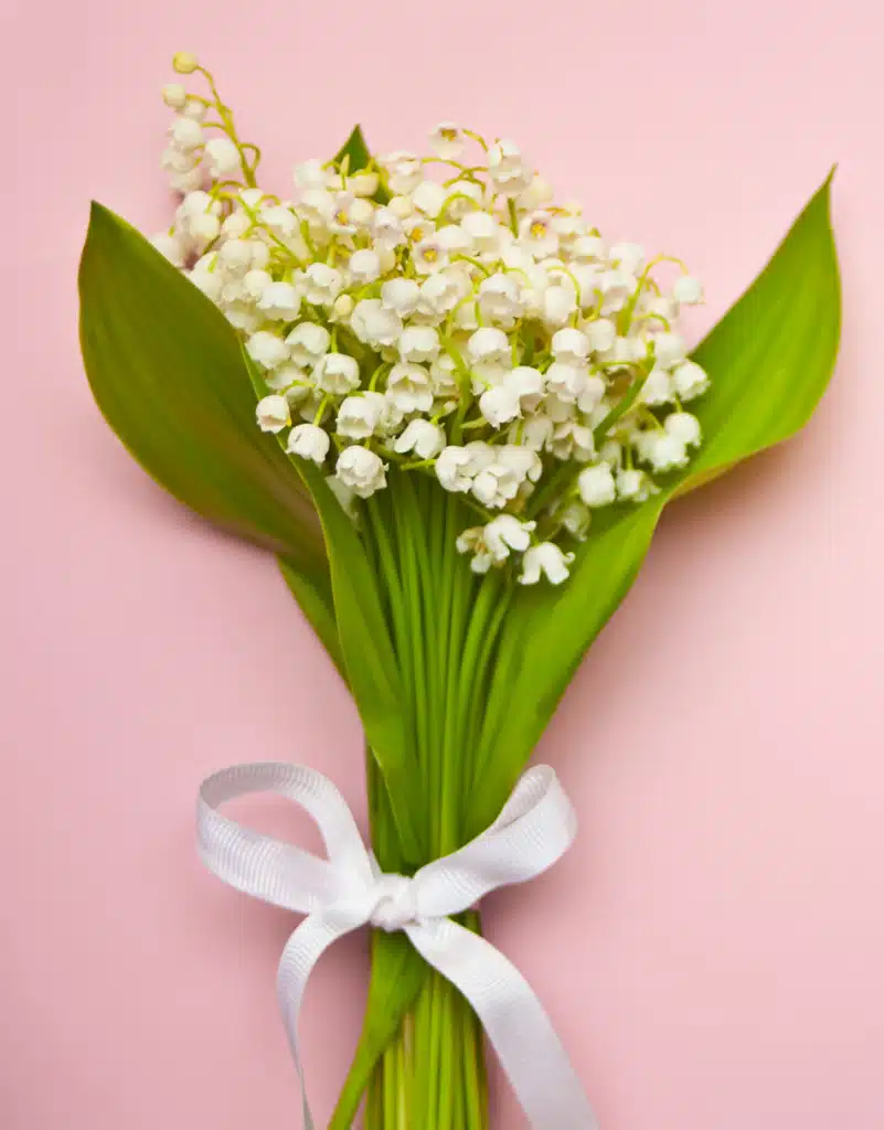 How to Use Birth Flowers in Personalized Gifts and Celebrations ...