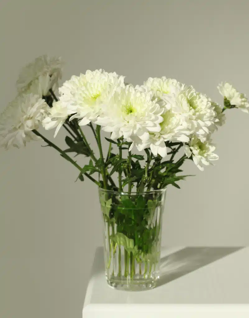 How to Use Birth Flowers in Personalized Gifts and Celebrations ...
