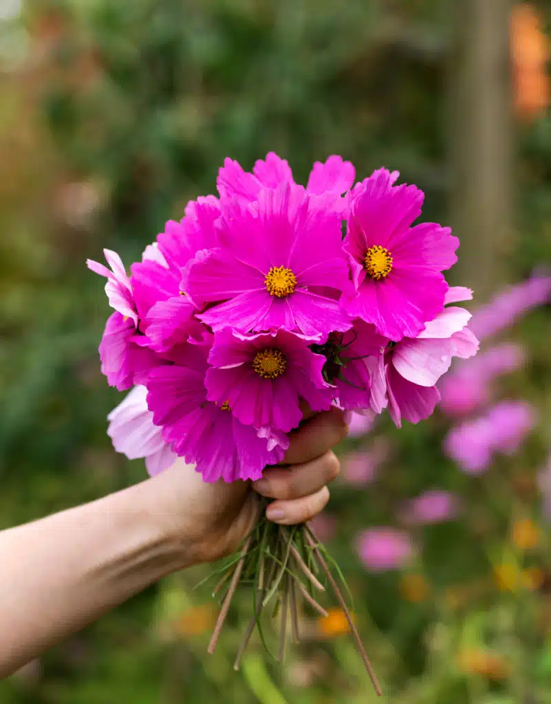 How to Use Birth Flowers in Personalized Gifts and Celebrations ...