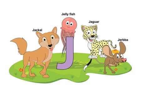 20 Animal Name that Starts with J - illustrated Tea Cup